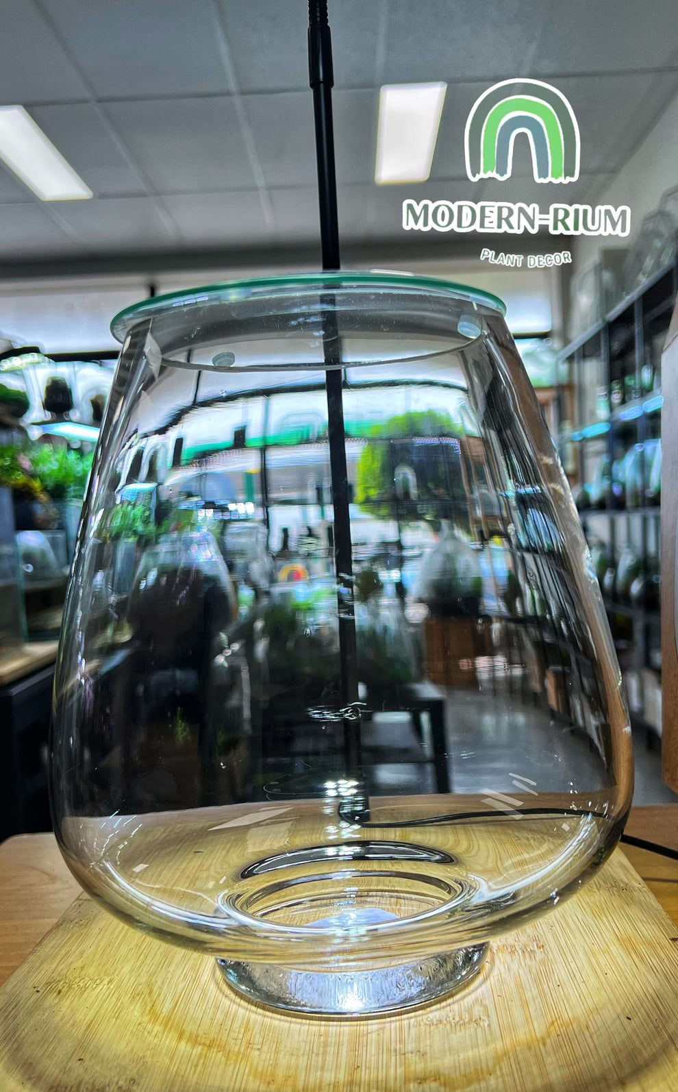 DIY Terrarium Kit - 2 sizes mushroom bowl – modernrium