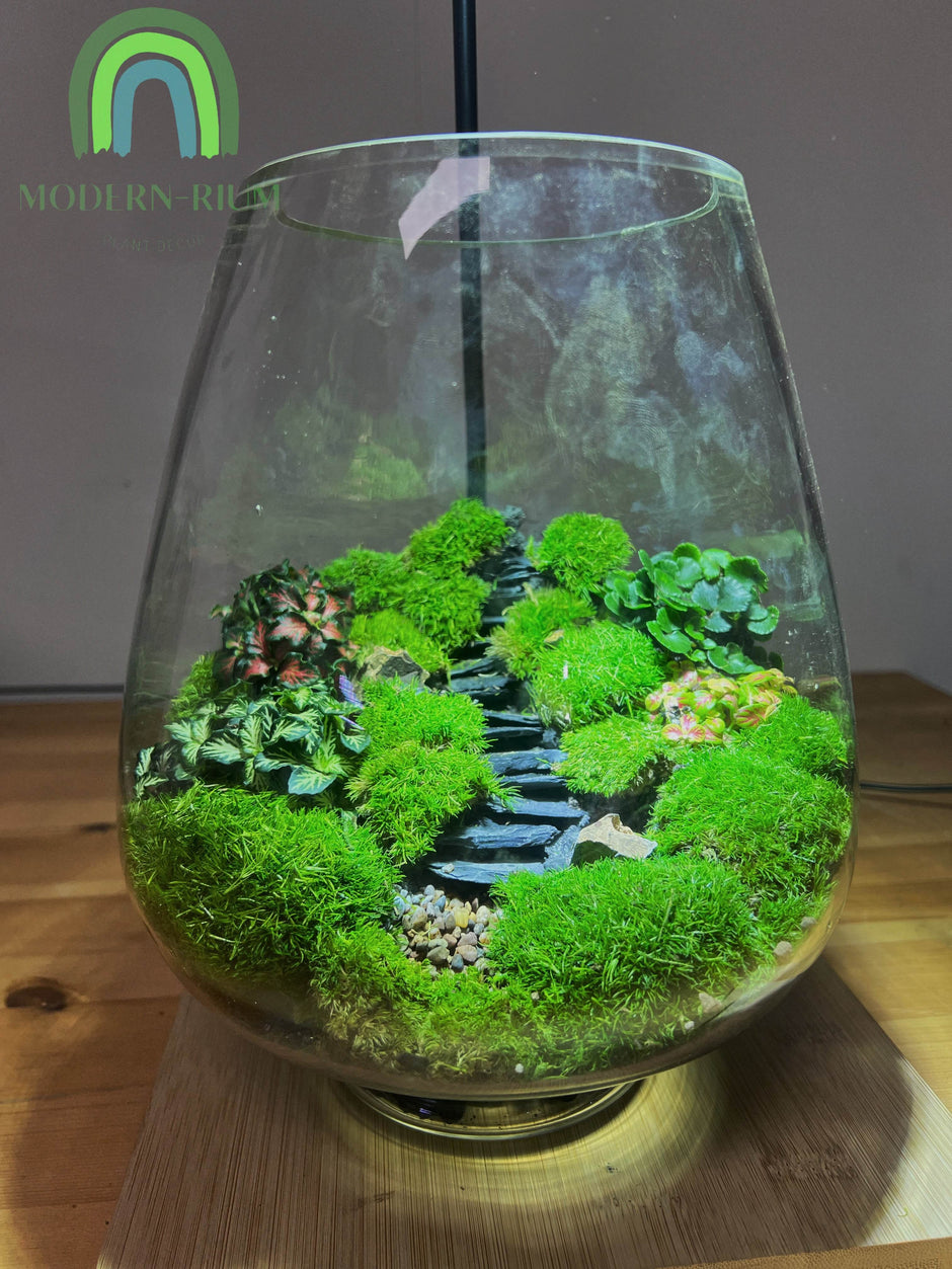EcoCourier Terrarium – Ready-Made. Delivered Australia-Wide – modernrium