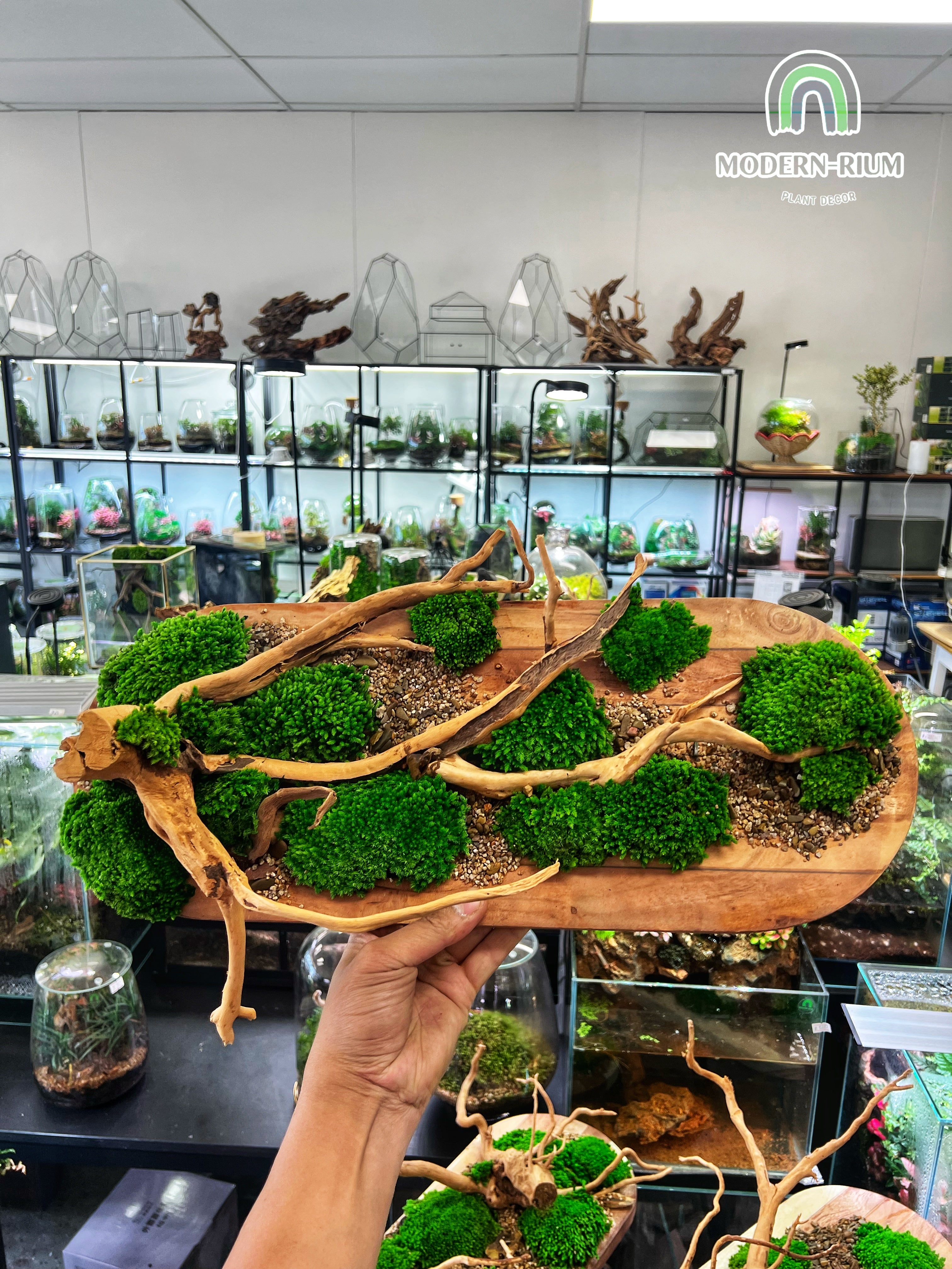 Wood Flow - 3D Wall scape - Zero maintenance – modernrium