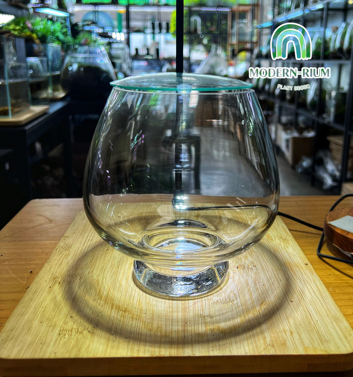 DIY Terrarium Kit - 2 sizes mushroom bowl – modernrium