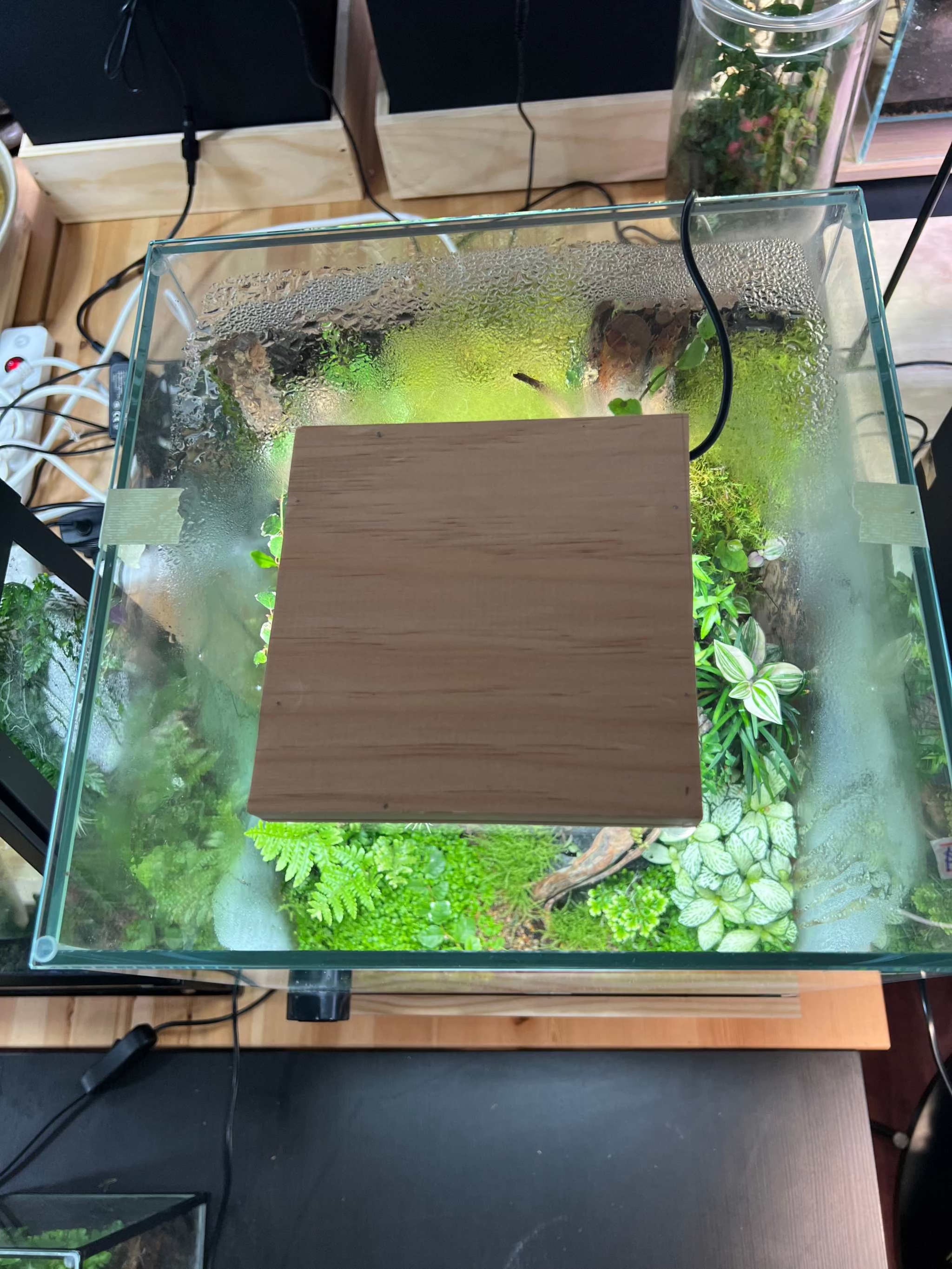 USB Light for Terrarium LED Grow Light 10W 6500k 15x15cm Square ...