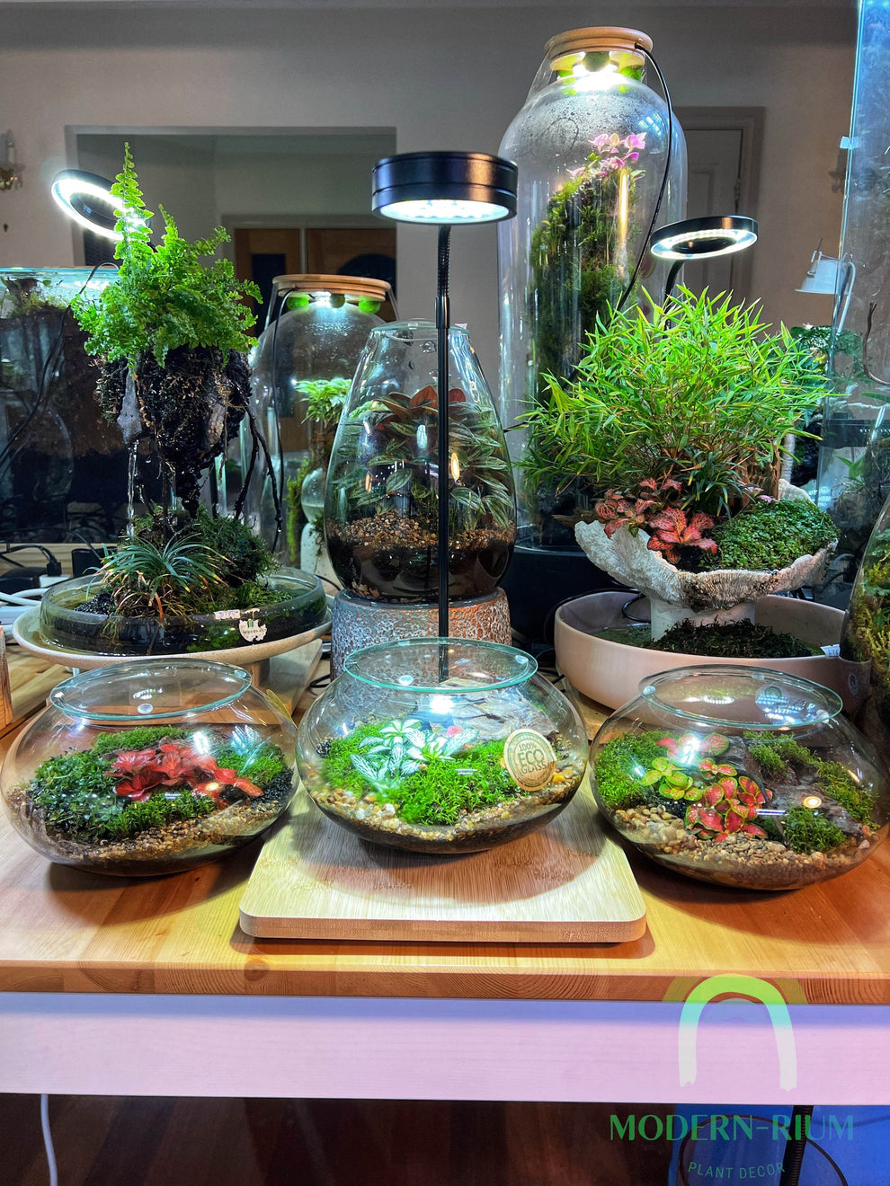 UFO terrarium – modernrium