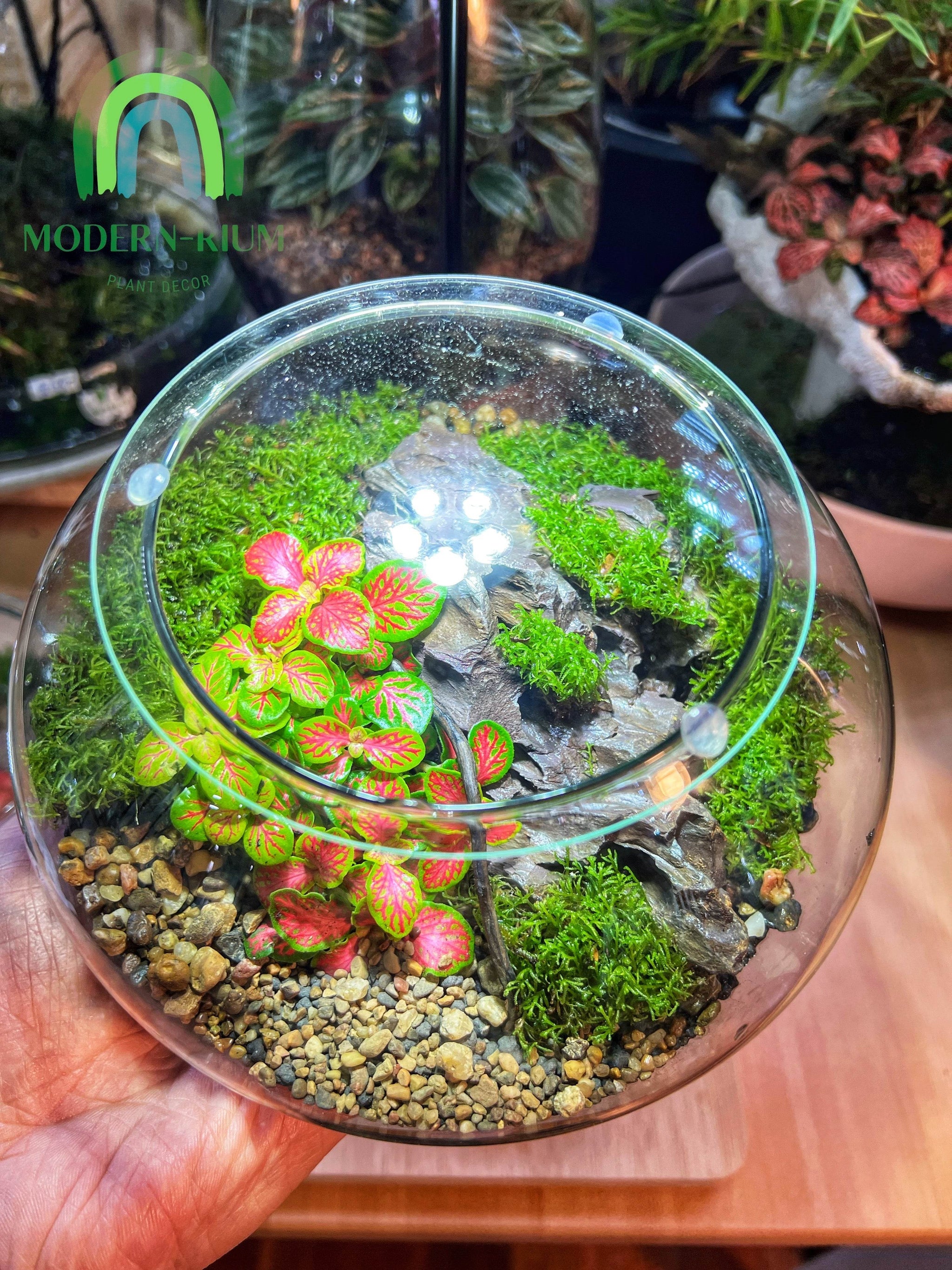 UFO terrarium – modernrium