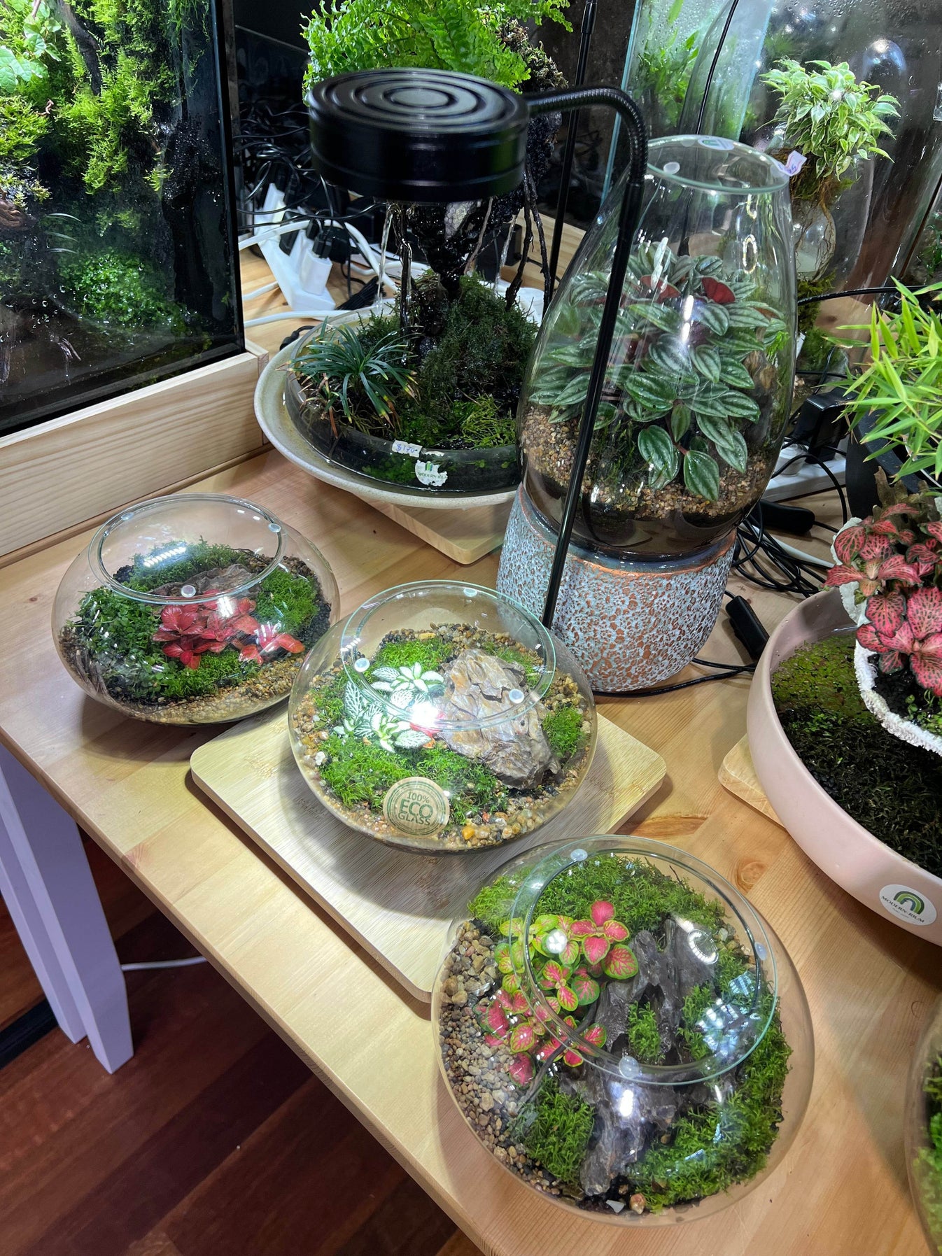 UFO terrarium – modernrium