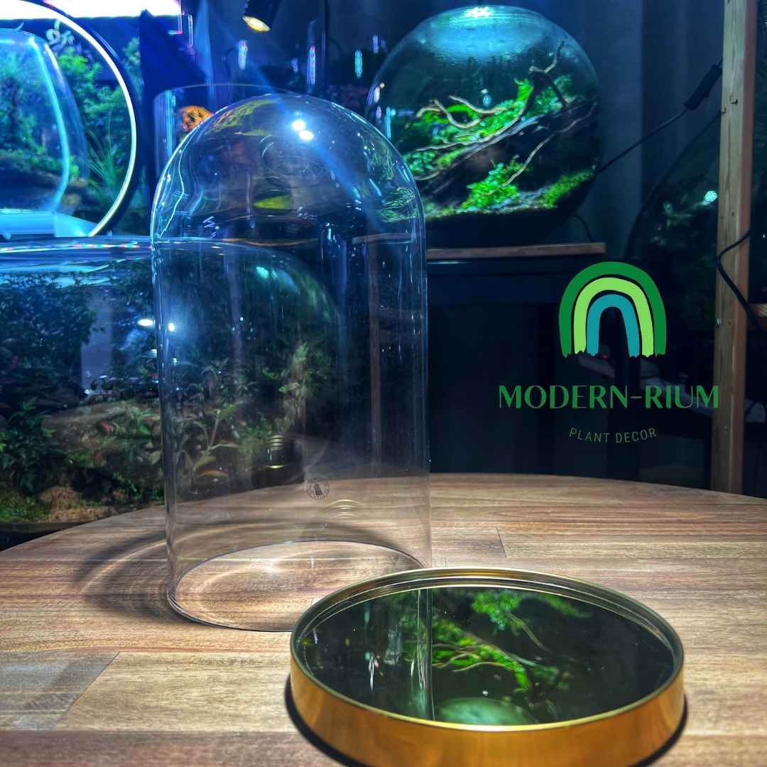 DIY Terrarium Kit 30cm Golden Dome Terrarium DIY Kit – modernrium