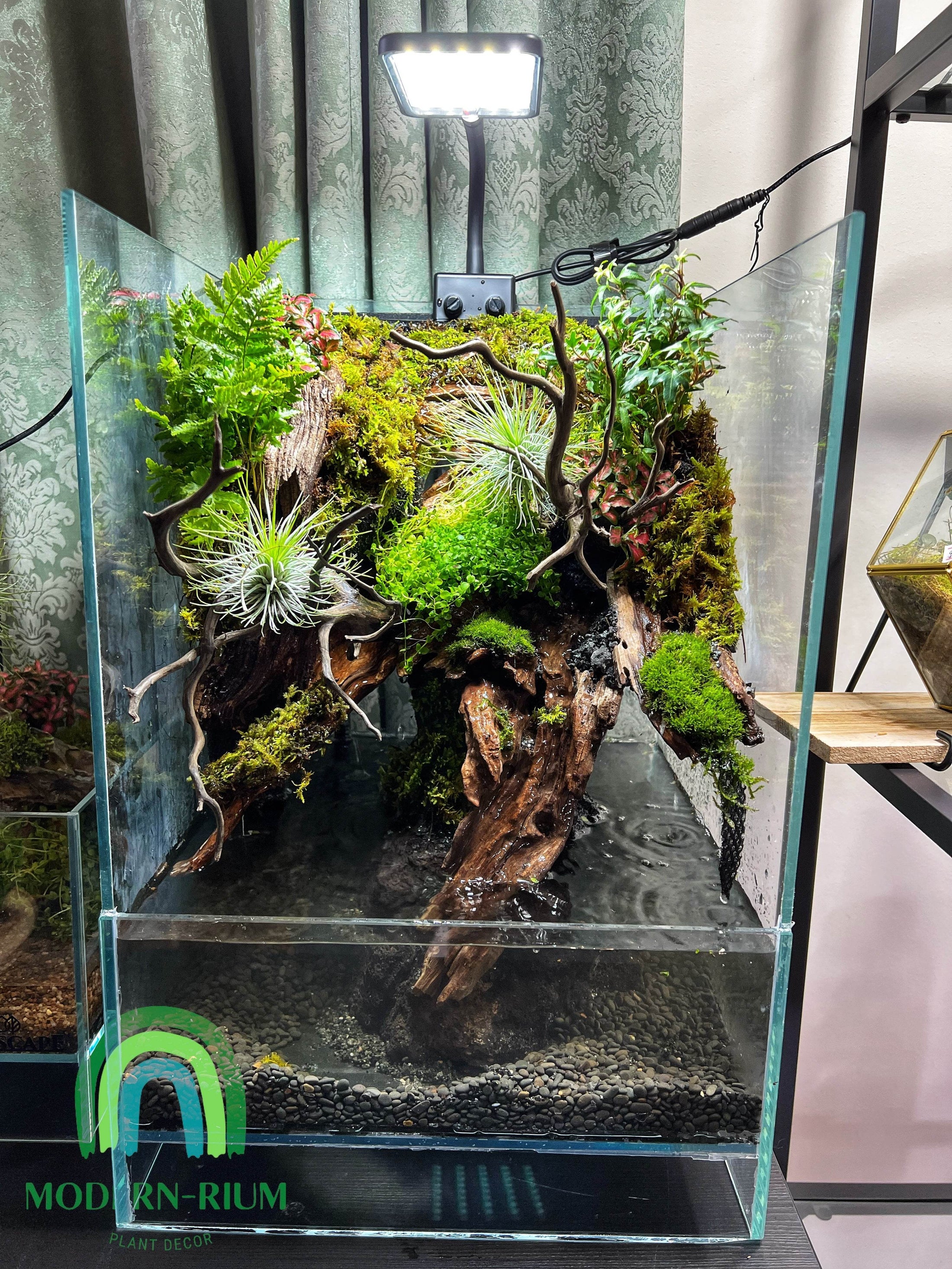 Bioscape Paludarium 30x30x45 cm – modernrium