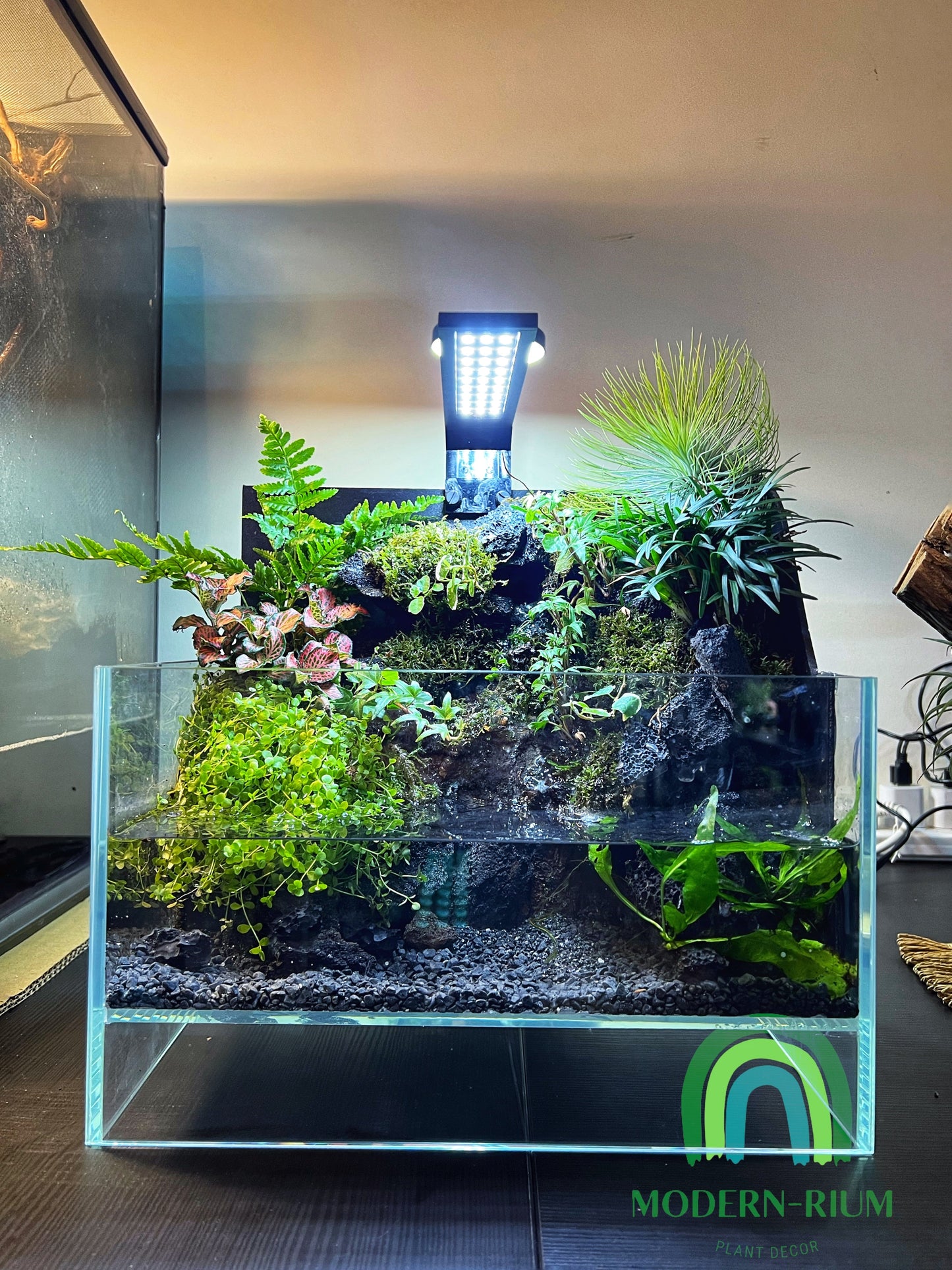 Paludarium waterfall tank Black Cliff – modernrium